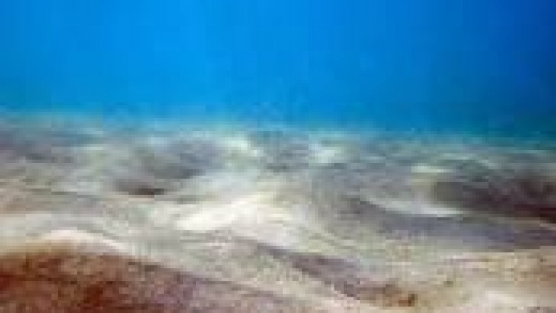 Jak powstały morza i oceany? Jak wygląda dno oceanu? Dlaczego woda ...