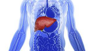 Czy można żyć bez serca? | Minds - wszystko co najważniejsze